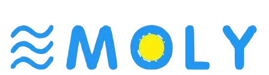 Moly Air Cooler Manufacturer